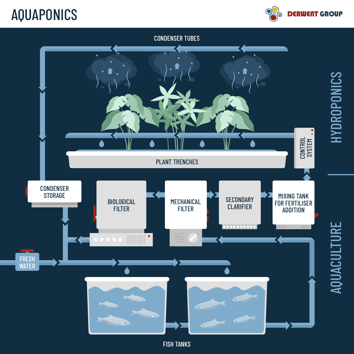 Aquaponics: what are its advantages and how does it work? - Grupo Derwent